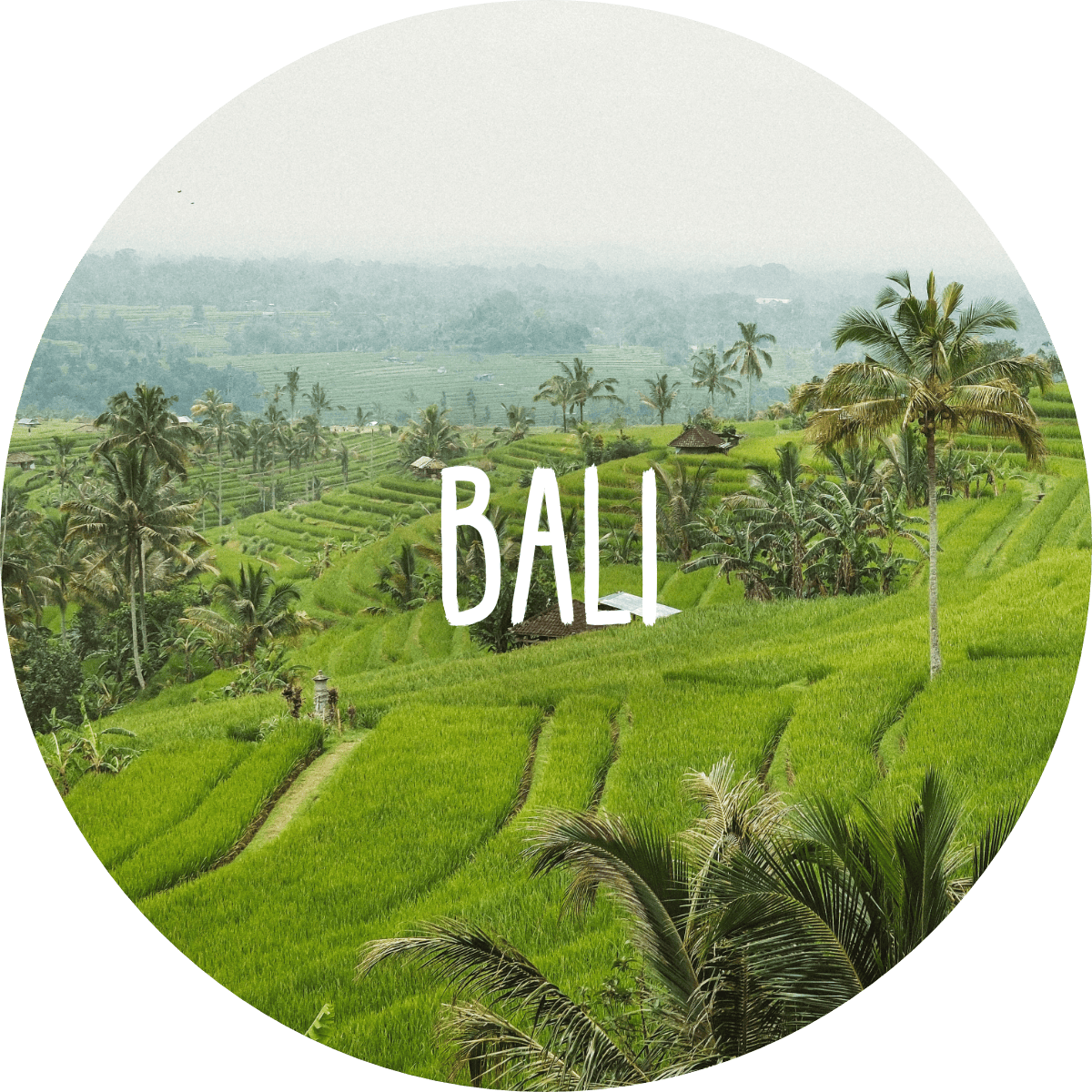 Bali Reisetipps - Rundreise & Urlaub (2026)