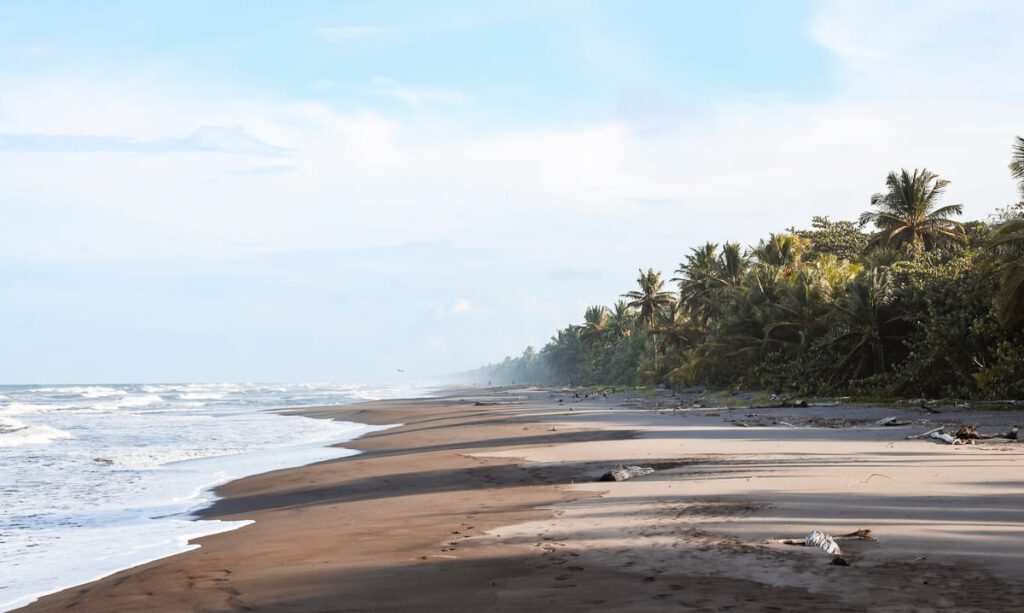 Beste Reisezeit Costa Rica • Tipps zu Wetter, Klima & Regenzeit