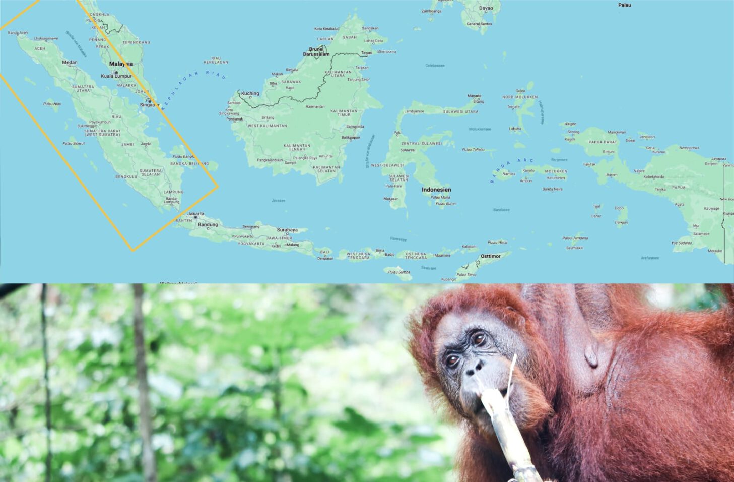 Indonesien Reisezeit (inkl. Bali) • eine schnelle Übersicht